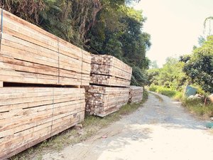 Guangzhou Wangcheng Renewable Resources Co., Ltd